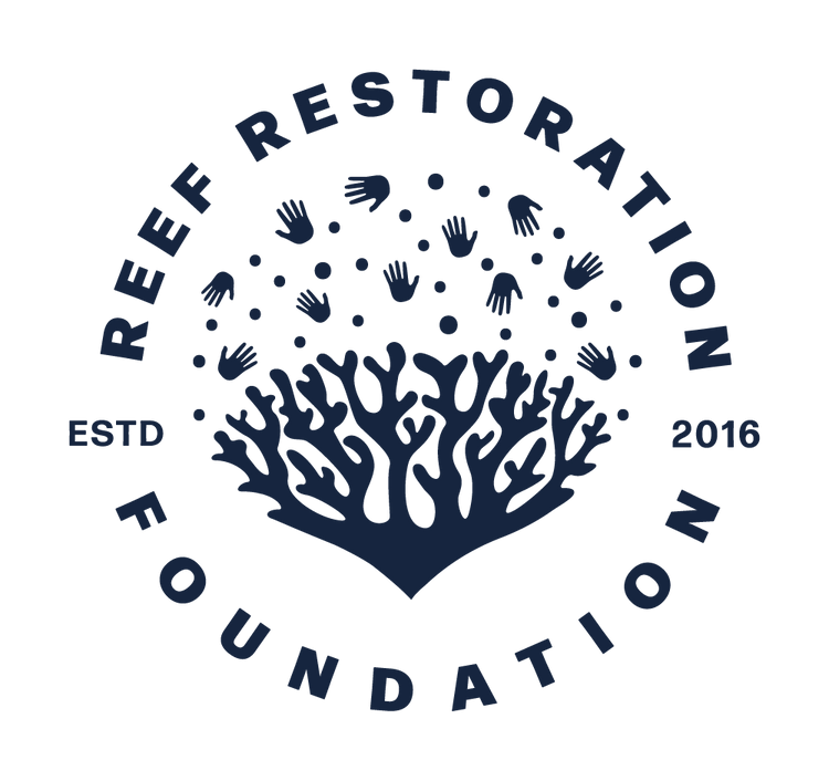 Reef Restoration Foundation – Great Barrier Reef Ocean Swims