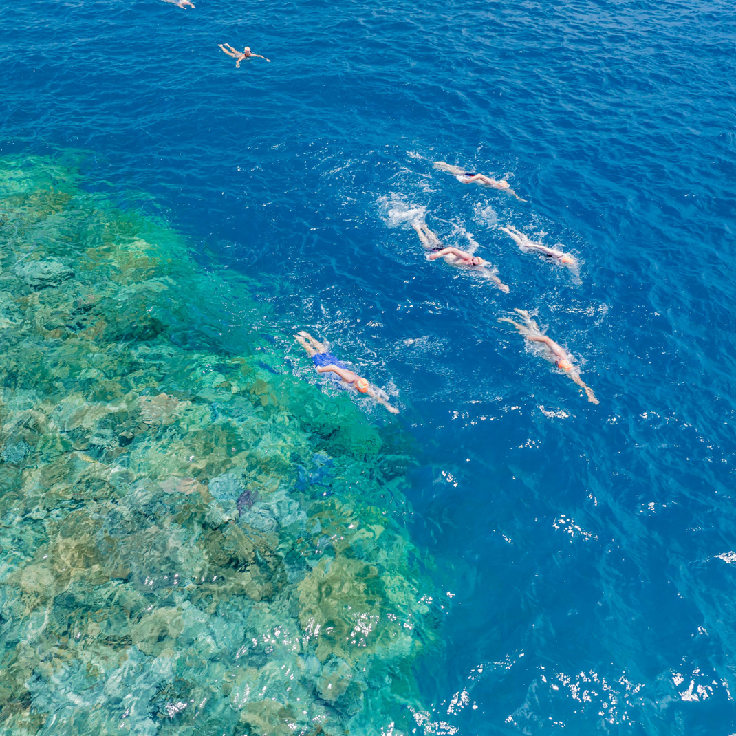 Swim The Reef – Great Barrier Reef Ocean Swims