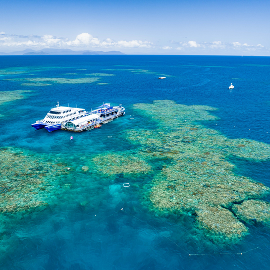 About Us – Great Barrier Reef Ocean Swims