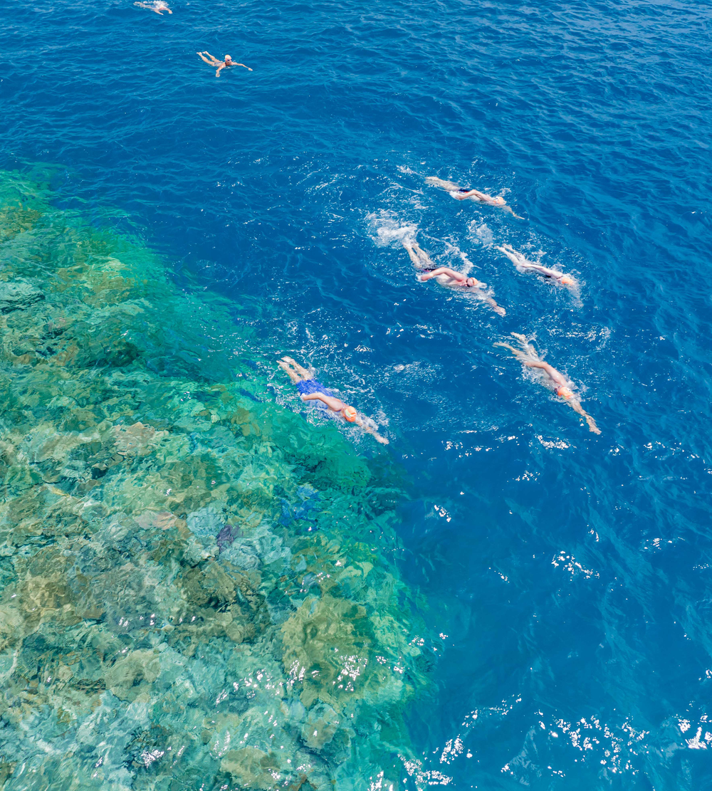 Gallery – Great Barrier Reef Ocean Swims