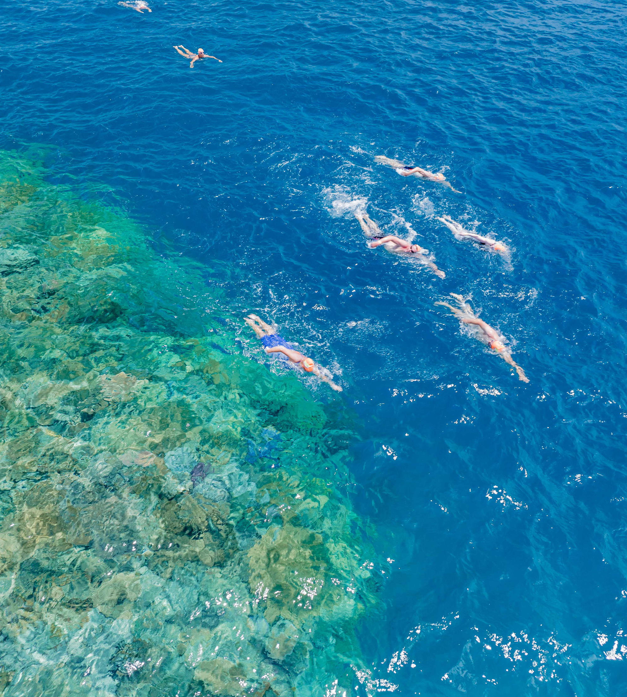 Gallery – Great Barrier Reef Ocean Swims