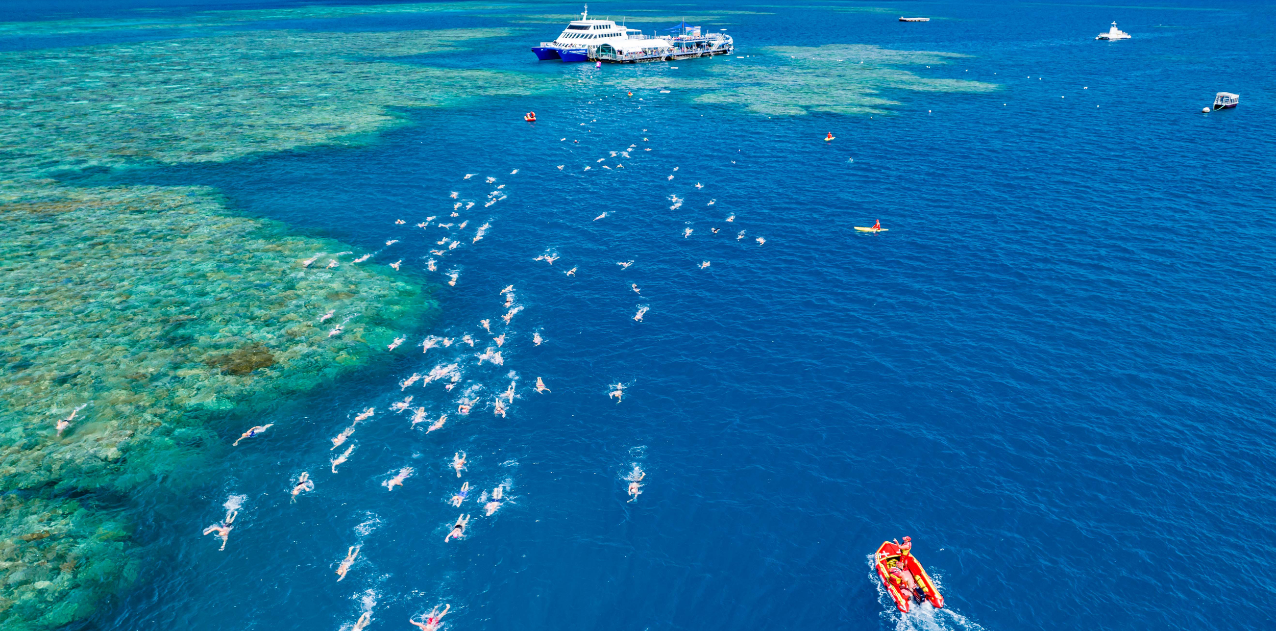 Gallery – Great Barrier Reef Ocean Swims