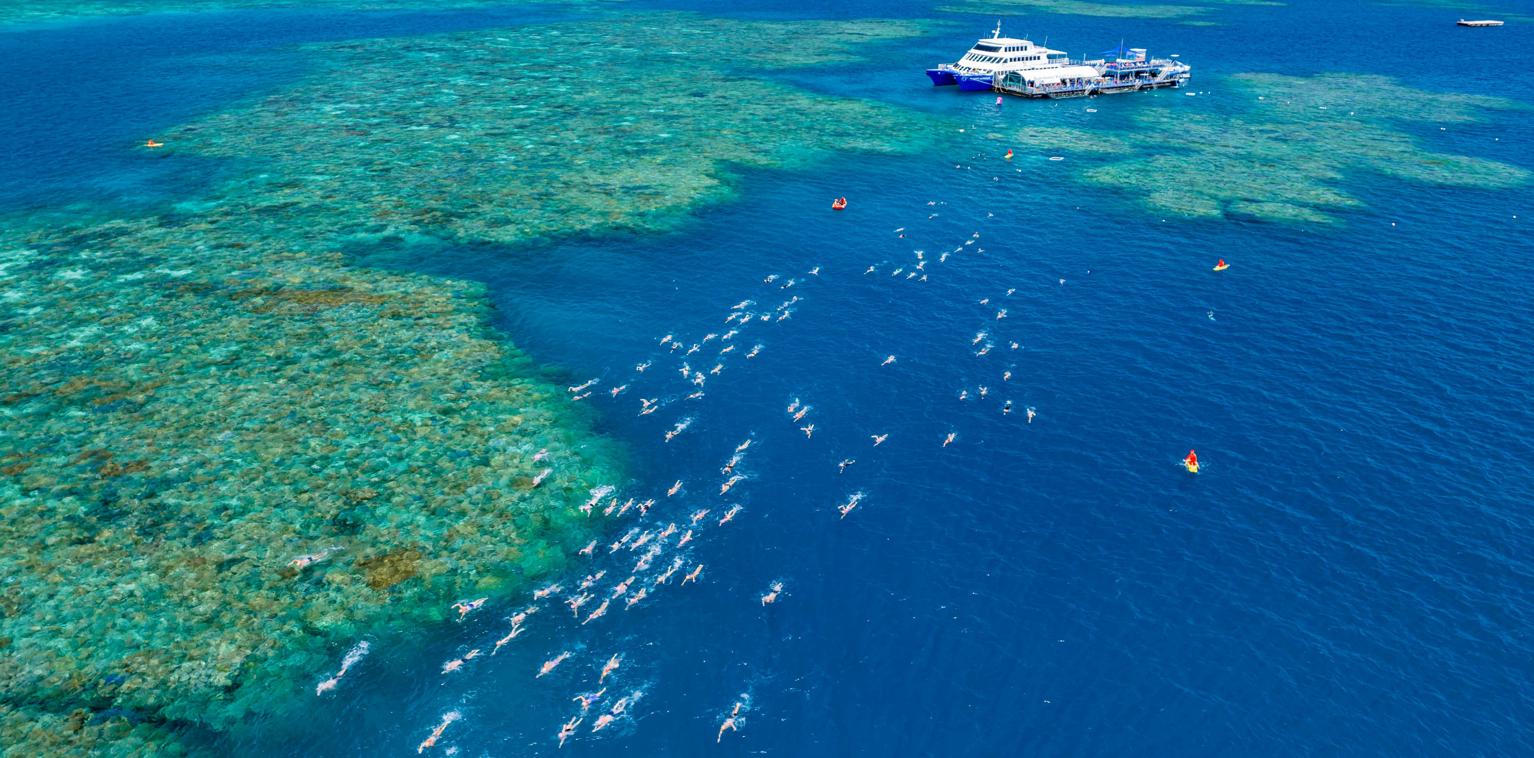 Great Barrier Reef Ocean Swims
